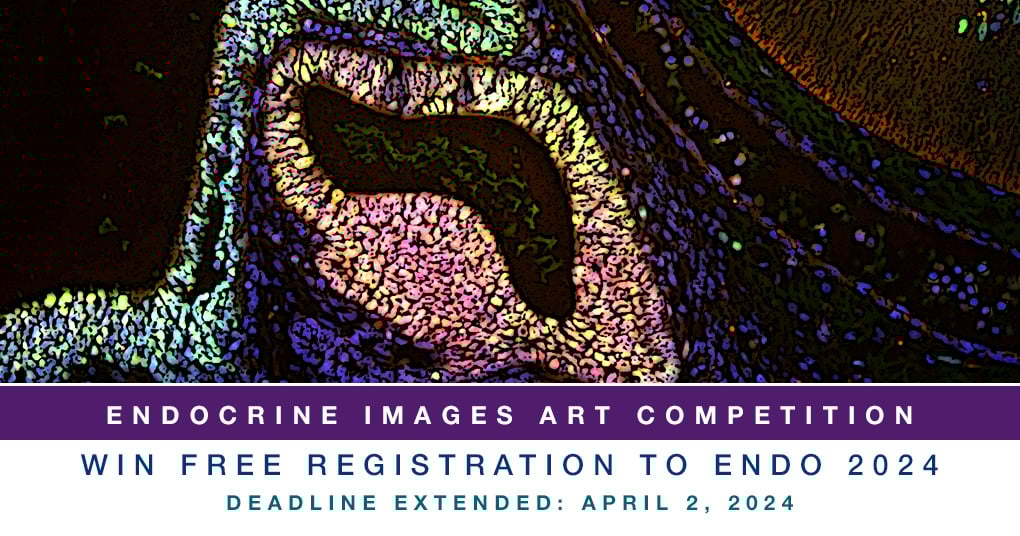 Endocrine Images Award | Endocrine Society