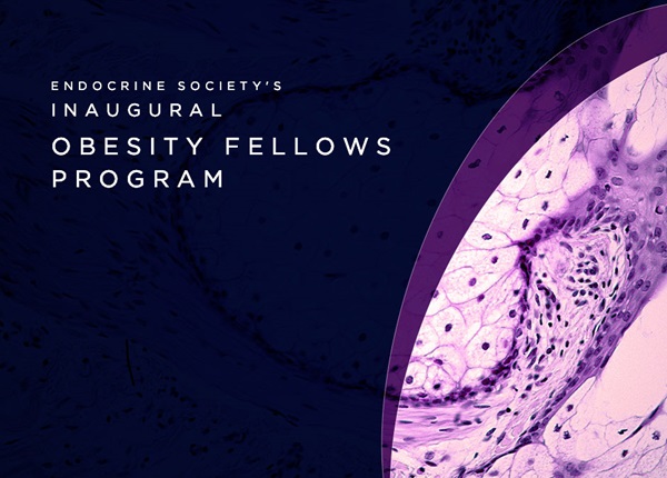 Obesity Fellows Program | Endocrine Society