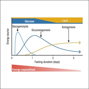 A Critical Assessment of Fasting to Promote Metabolic Health and ...