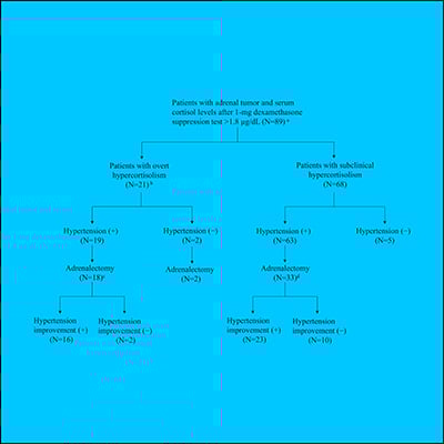 Aldosterone and Hypertension in Hypercortisolism | Endocrine Society