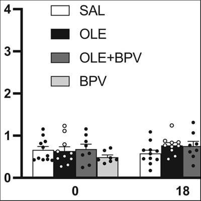 β-Cell Insulin Resistance Plays a Causal Role in Fat-Induced β-Cell ...