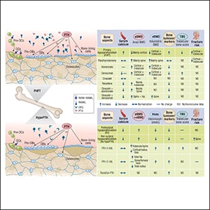 Bone in Parathyroid Diseases Revisited | Endocrine Society