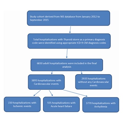 Cardiovascular Events in Thyroid Storm | Endocrine Society