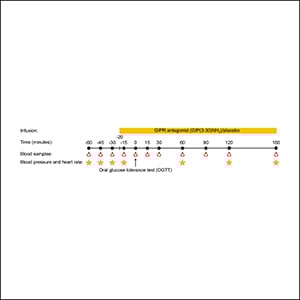 GIP Receptor Antagonism Eliminates Paradoxical Growth Hormone Secretion ...