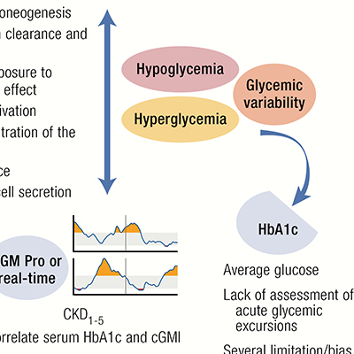 Glycemic Monitoring and Management in Advanced CKD | Endocrine Society