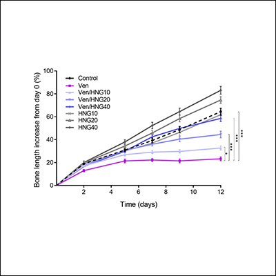 Humanin Treatment Protects Against Venetoclax-Induced Bone Growth ...