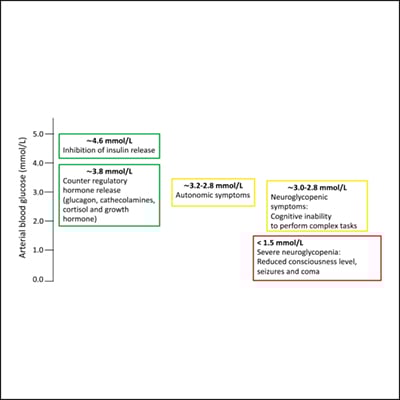 Hypoglycemia-Associated Autonomic Failure in Human | Endocrine Society