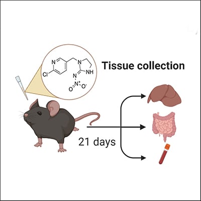 Endocrine.org | Endocrine Society