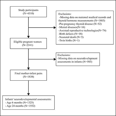 Maternal Thyroid Function and Offspring EDC | Endocrine Society