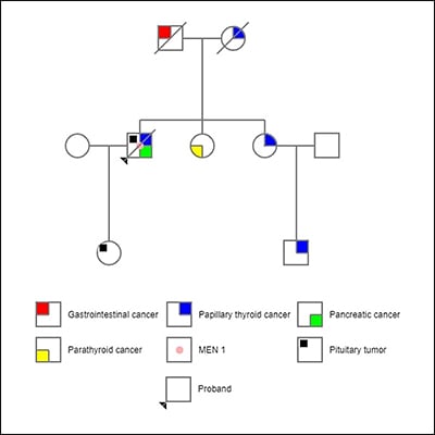 MEN1 in a Patient With Nonsyndromic Familial Nonmedullary Thyroid ...