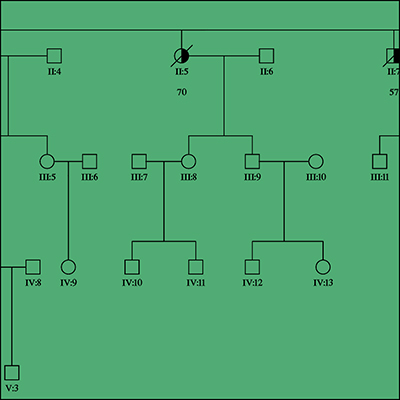 MIDD and Atypical Clinical Diabetes Features | Endocrine Society