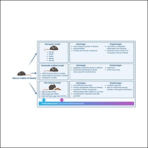 Navigating the Strengths and Constraints of Mouse Models in Obesity ...