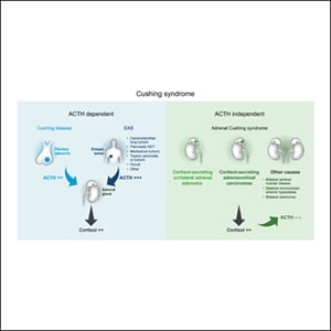 Osilodrostat Treatment for Adrenal and Ectopic Cushing Syndrome ...