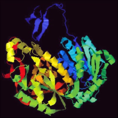 Papillary Thyroid Cancer Recurrence Risk Factors | Endocrine Society