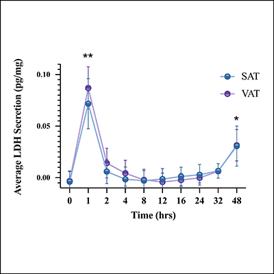 SAT VAT Secretome and Metabolic Disease | Endocrine Society