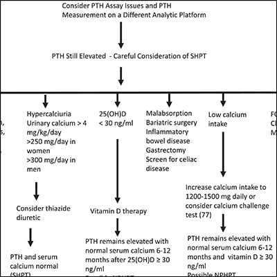The Eucalcemic Patient With Elevated Parathyroid Hormone Levels ...