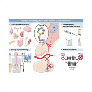 The Oxytocin System and Implications for Oxytocin Deficiency in ...