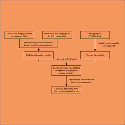 Thyroid Cancer Polygenic Risk Score Improves Classification of Thyroid ...