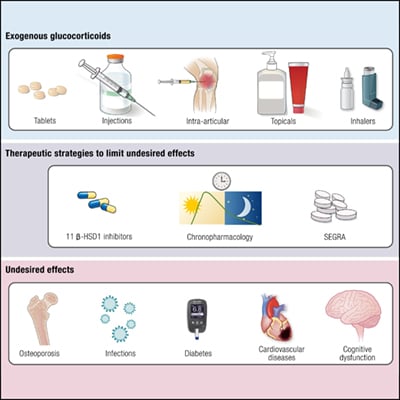Treating the Side Effects of Exogenous Glucocorticoids | Endocrine Society