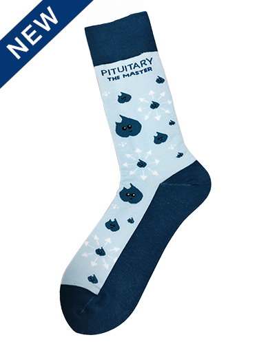 Pituitary Socks | Endocrine Society